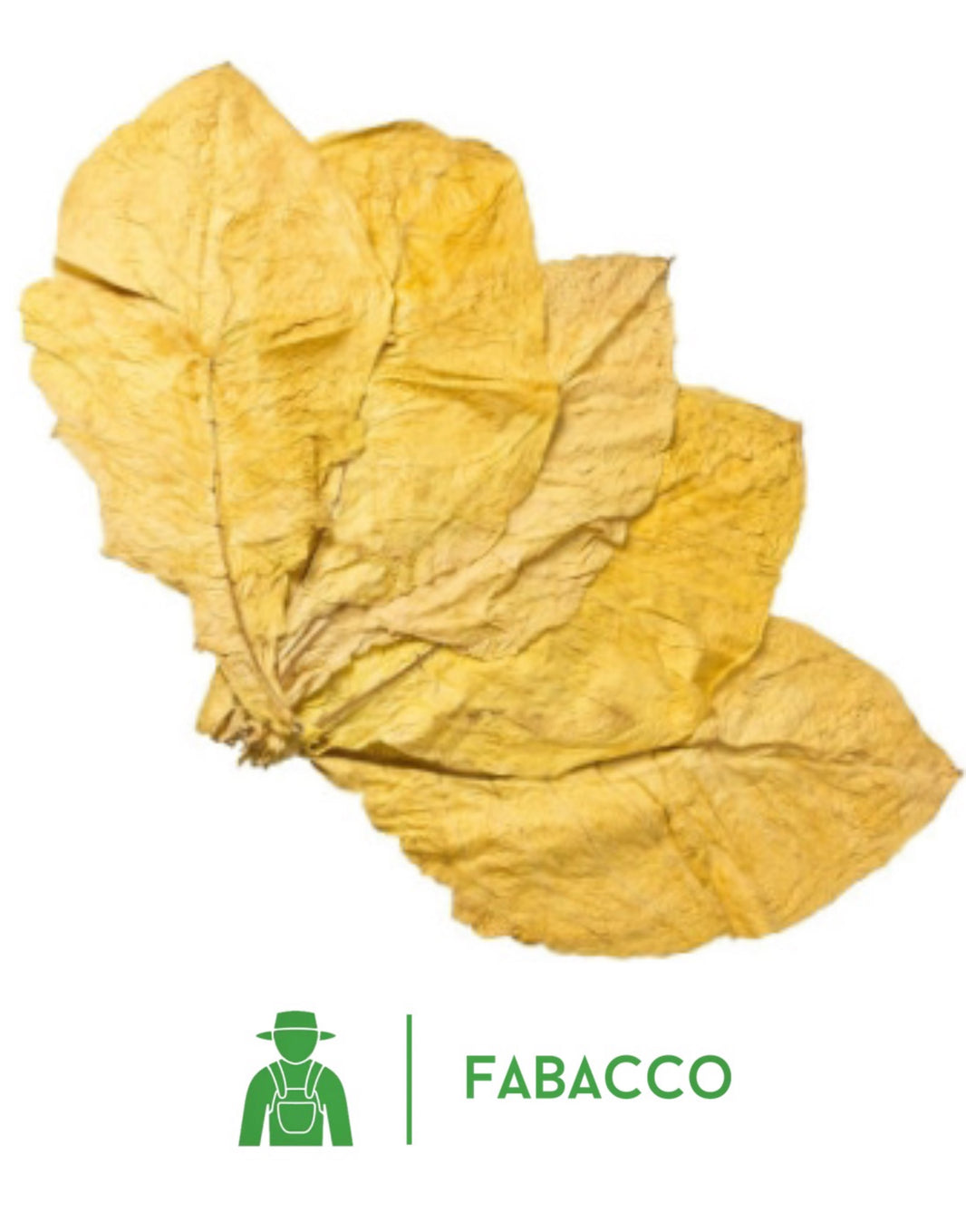 Fabacco™ | Feuille de Tabac | Qualité Supérieure France